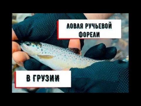 Ловля ручьевой форель в Грузии!!!