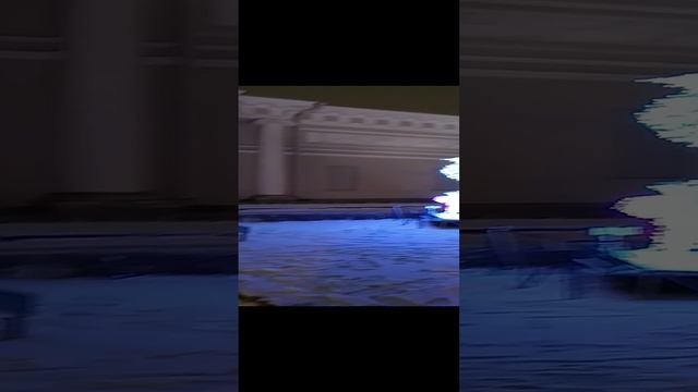 Новогодний Петербург. Павлин в саду Аничкова дворца.