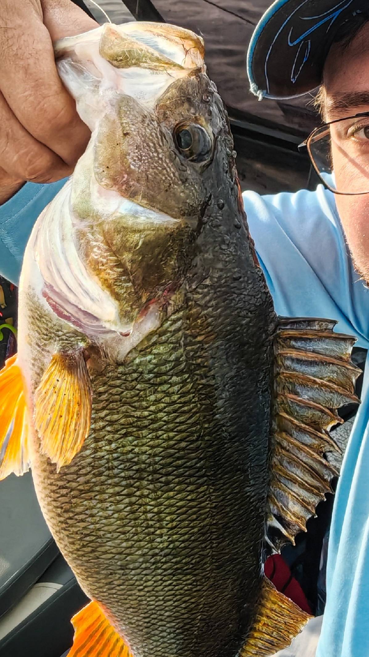 Окунь на 5 дюймов😱