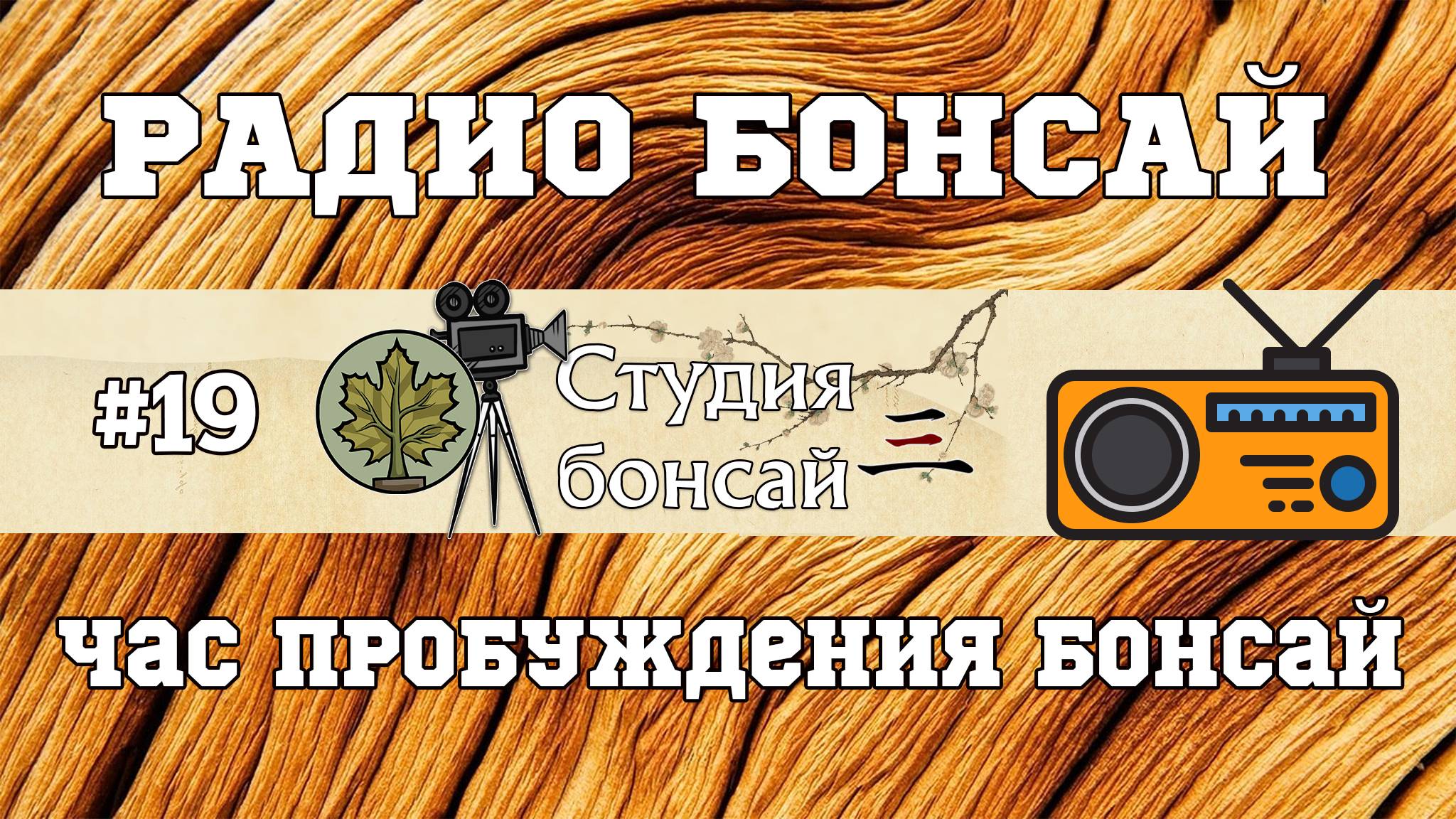 Час пробуждения бонсай / Павел Горбачёв