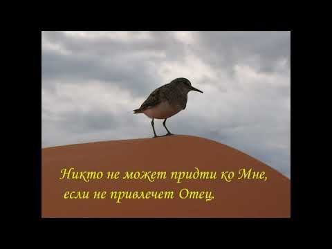 Никто не может придти ко Мне, если не привлечет Отец.