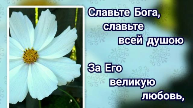 7 Славьте Бога (-)