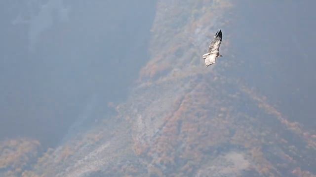 Дагестан.  Клиентское мероприятие  2023