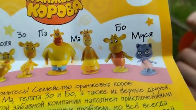 ПИКНИК НА ОБОЧИНЕ + РАСПАКОВКА SWEET BOX!