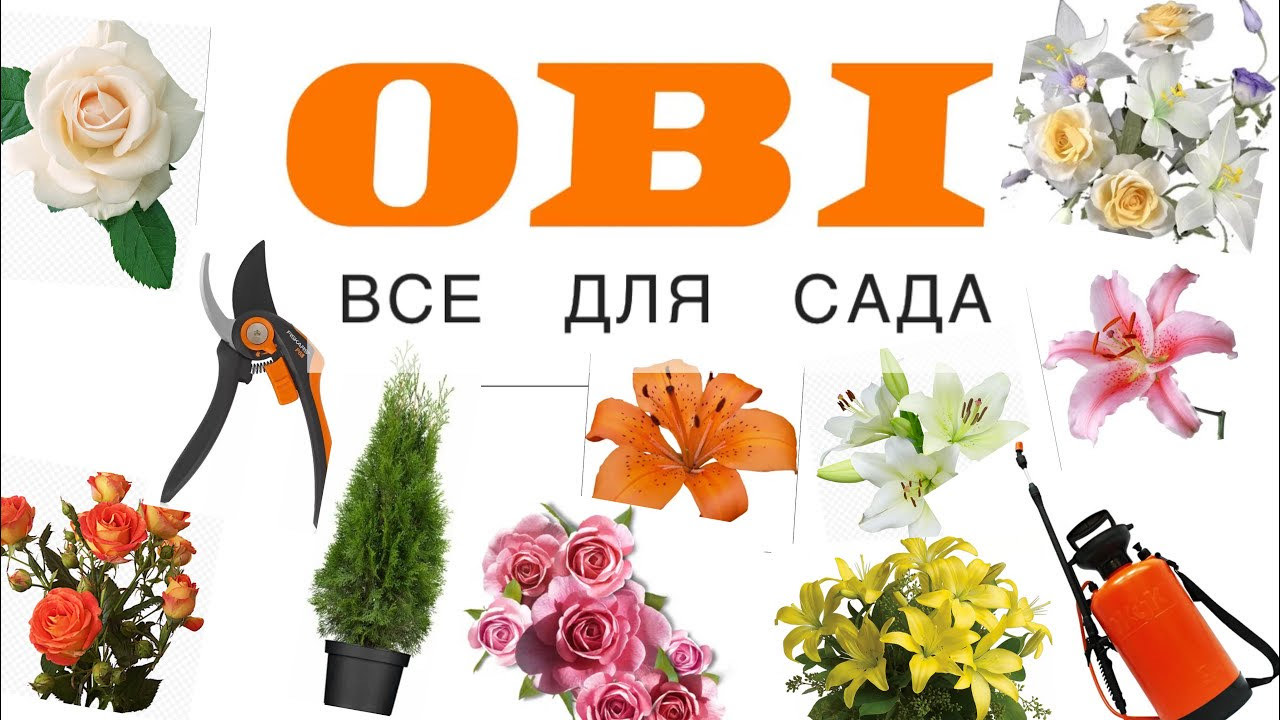 ОБИ обзор 2024 I товары для САДА