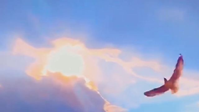 Это Родина моя. А.Бахмат