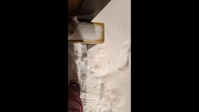 Смотрим котолапки!