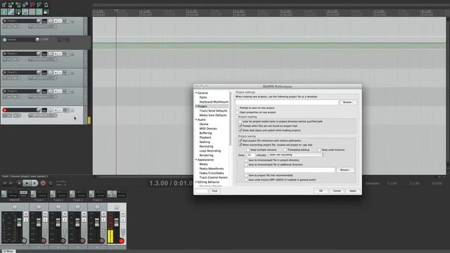 Настройка_Reaper_Ч_Undo_Автосо75.mp4