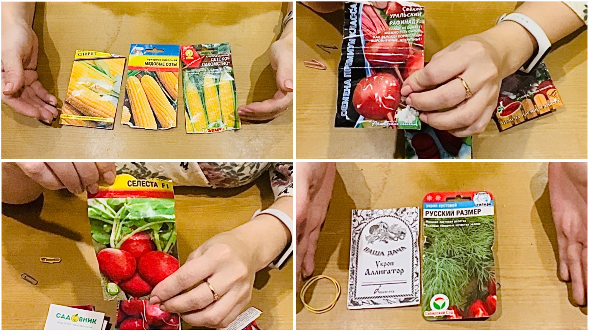 Коробка с семенами. Кукуруза, морковь, свекла, редис, зелень