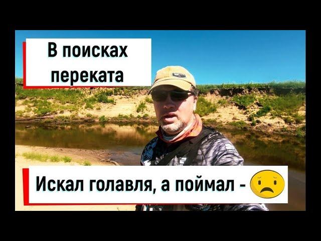В поисках голавля. Перекат наконец-то открылся. Не ожидал поймать эту рыбу в такой реке!