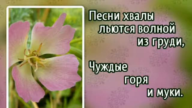 8 Слышу я - вновь раздаются. (-)