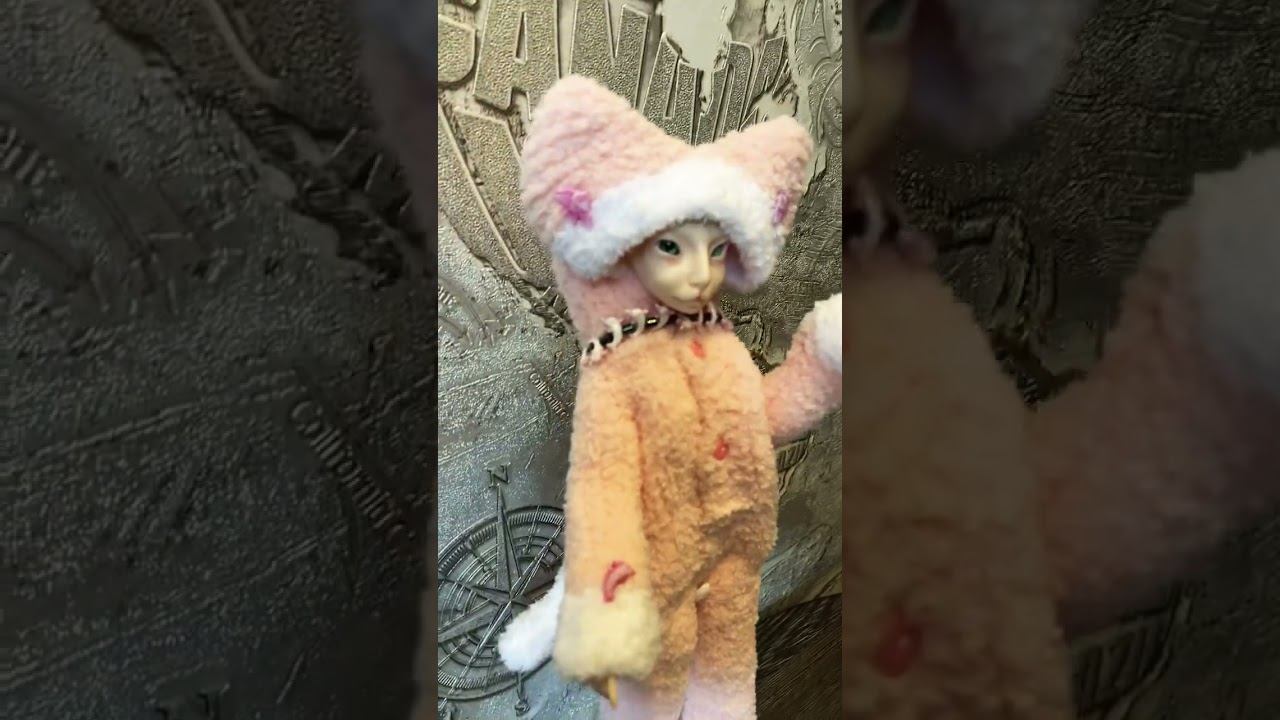 Новый комбинезон для кошечки