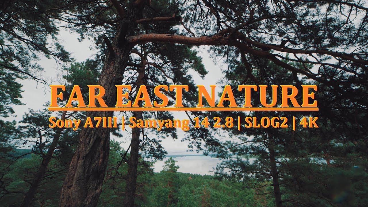 Сопка Богатыря, Мухинка| Sony A7III | Samyang 14 2.8 I SLOG2