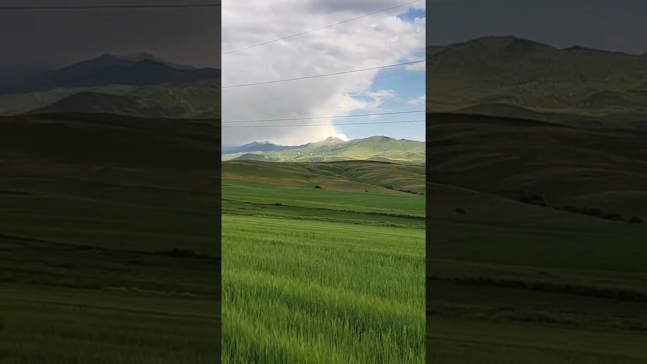 Путешествия