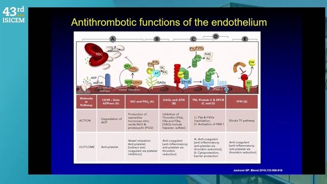 DISSEMINATED INTRA-VASCULAR COAGULATION AN UPDATE (ISICEM 2024)
