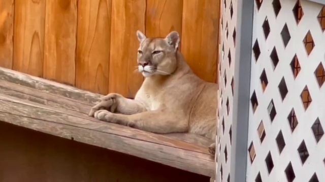 ✅ Рубрика #Советы_специалиста