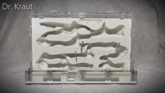 Обзор формикария OASIS XXXV от AntsMinsk