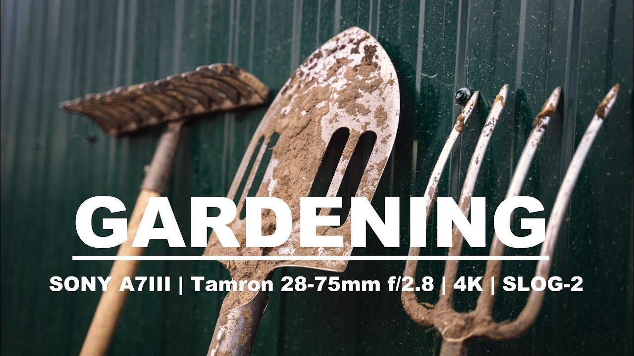 Садоводство, с. Верхнеблаговещенск | Sony A7III | Tamron 28-75mm f/2.8 | SLOG2 |