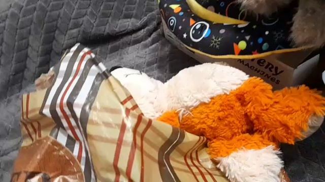 Игварь №1 слова