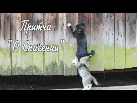 Притча о Спасении