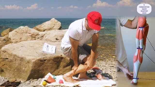 6-Я ЗАДНЯЯ ПОВЕРХНОСТНАЯ МЫШЕЧНАЯ ЛИНИЯ - Объяснение из «КУЛИНАРНОГО» ШОУ – КАК ПОХУДЕТЬ. День 3.