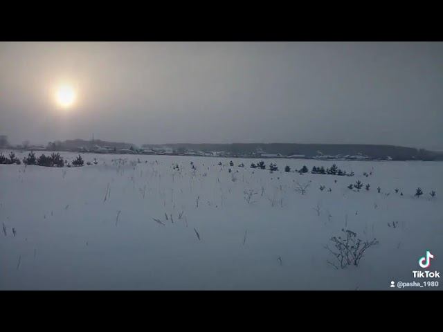 4 октября 2023 г.