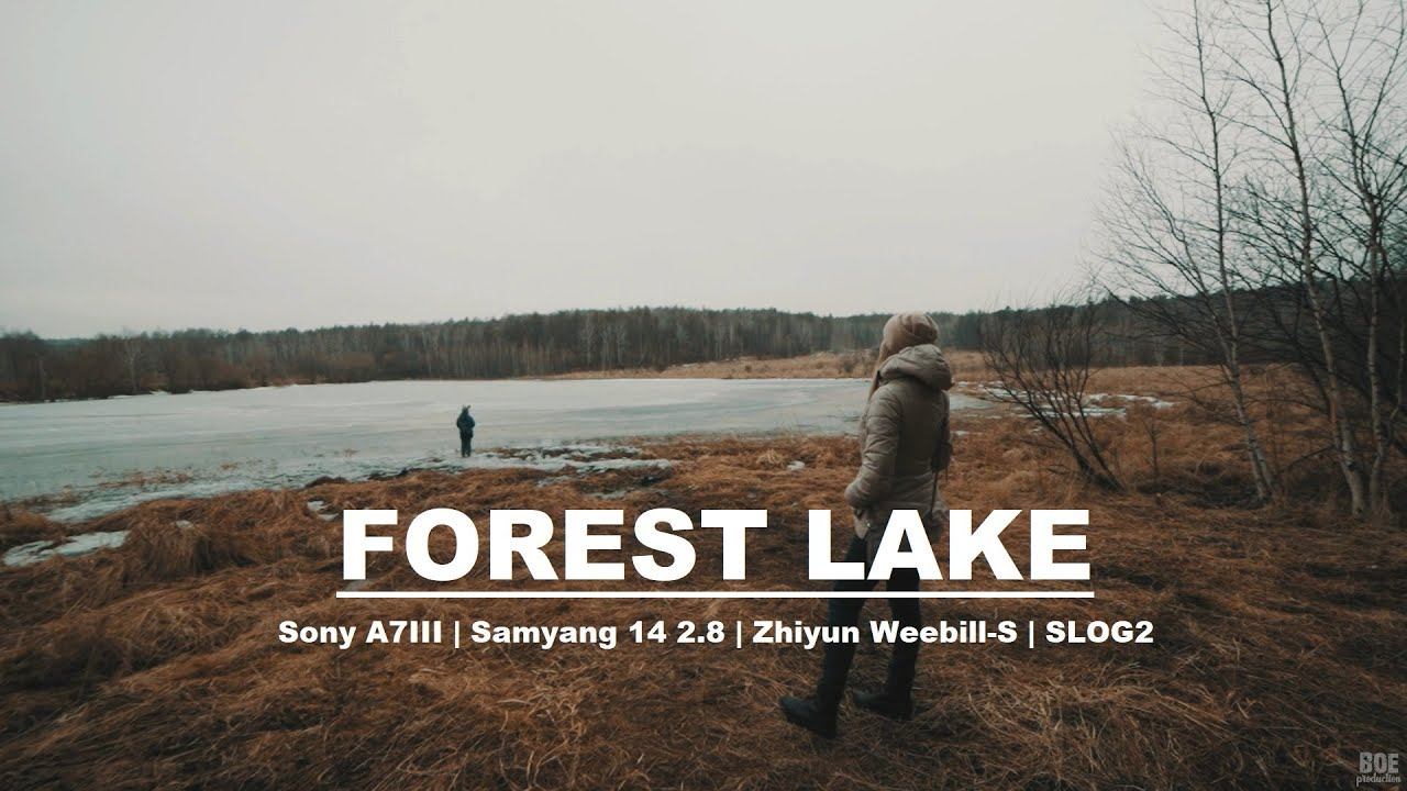 Лесное озеро (Золотой дракон) | Sony A7III | Samyang 14 2.8 | Zhiyun Weebill-S | SLOG2 |