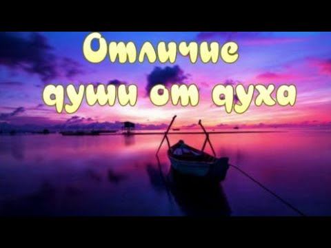 В чем отличие души от духа