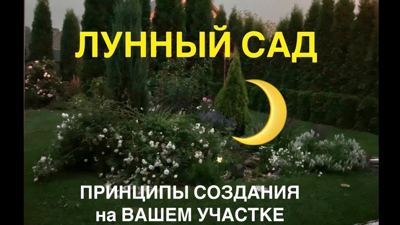 🌙ЛУННЫЙ САД🌒как сделать у себя в саду🐝прием в ландшафтном дизайне