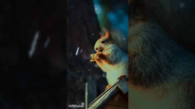 Маленькая история )