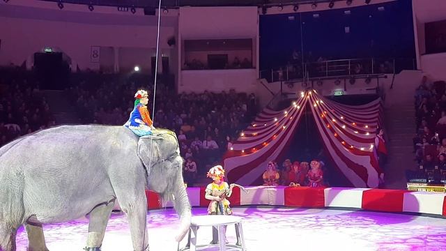 Слон большой из цирка - 1001 песенка