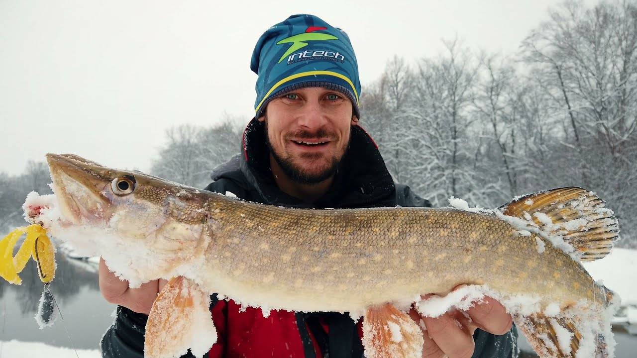 Джиг риг снова удивил, приманка творит чудеса. Открытие сезона 2022 на спиннинг [Пора ловить щуку]