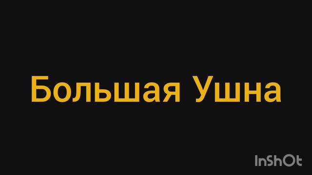 Большая Ушма