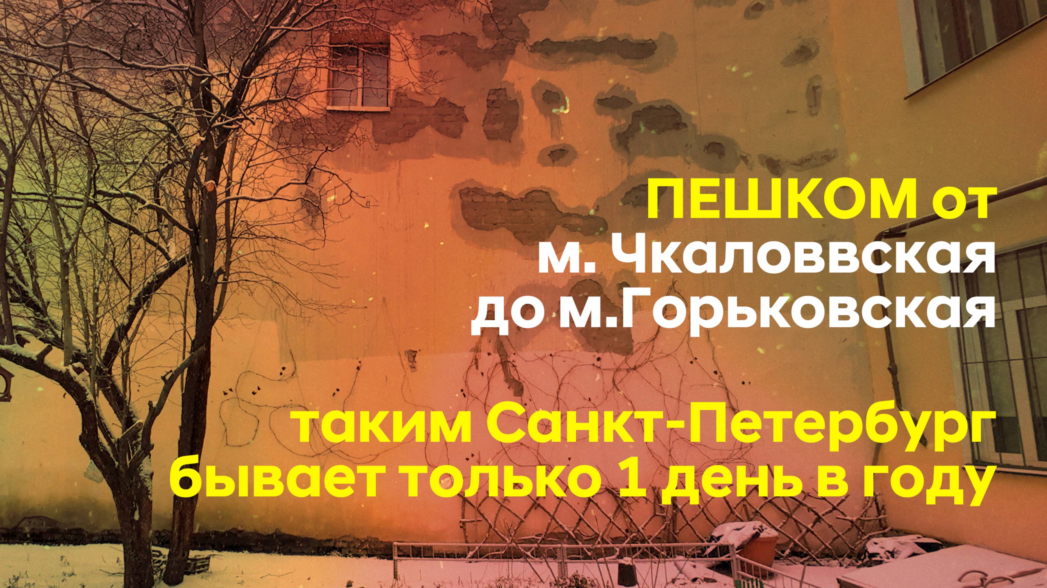 Таким Петербург бывает только ОДИН день году!  | 1 января 2025 | Петроградская сторона.