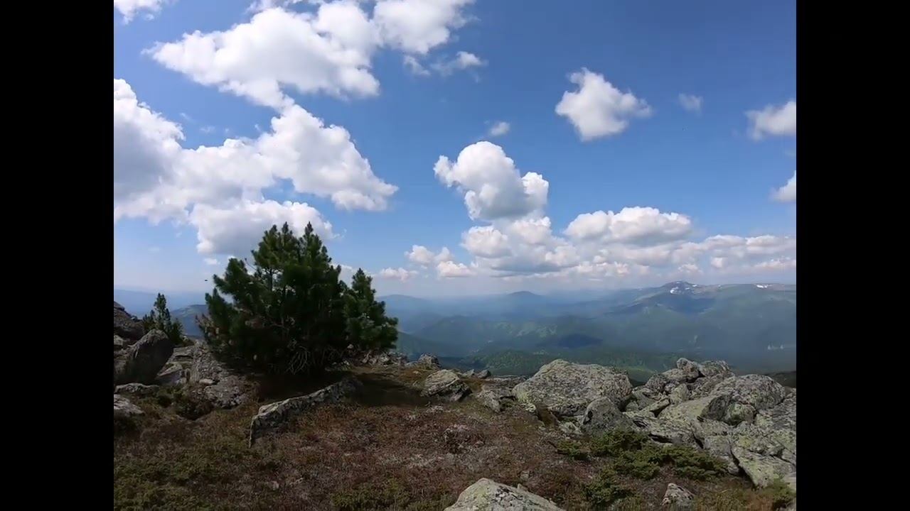 Поднебесные зубья