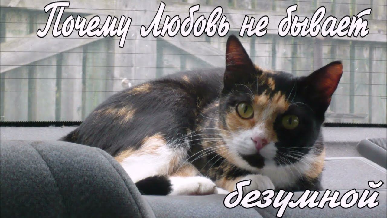 Почему Любовь не бывает безумной