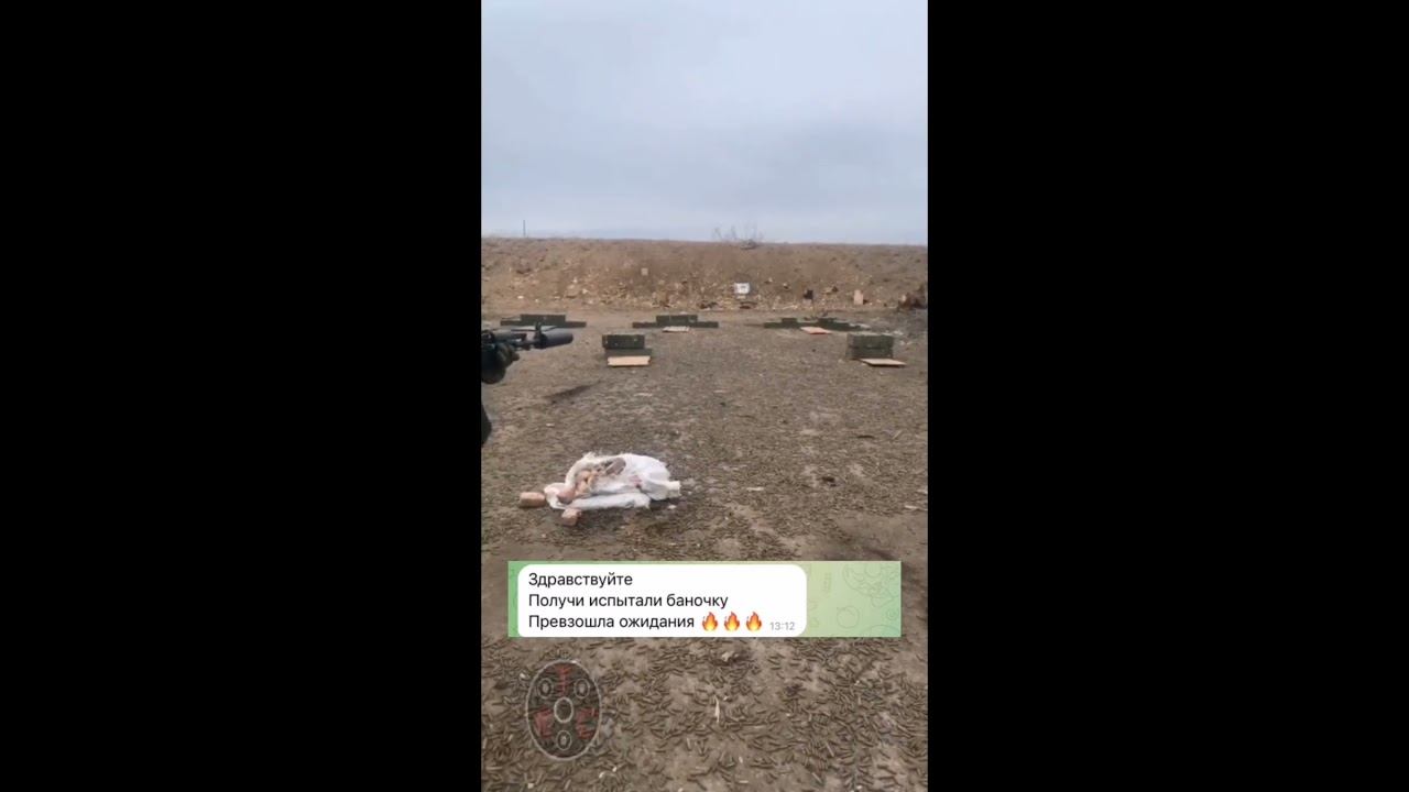 Отстрел ДТКП Вепрь - 308 win | Kowalski Team Custom