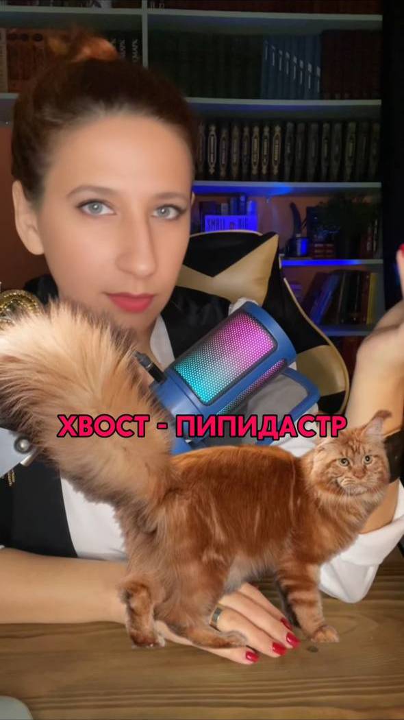 Хвост - пипидастр.