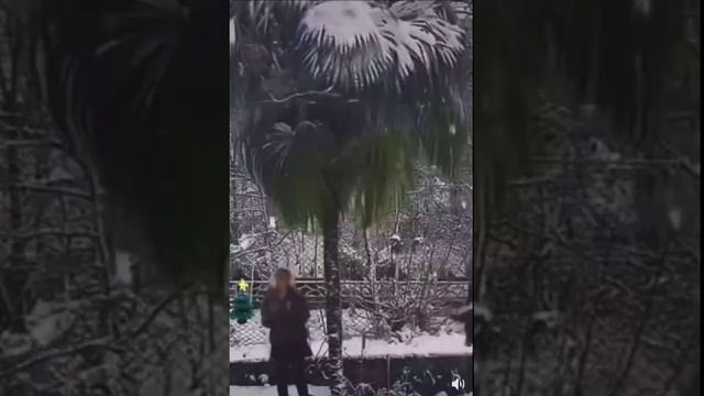 снежинки