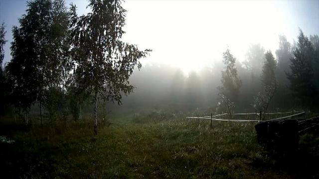 Туман Туманище - Псковская Деревня - Осень - 2018