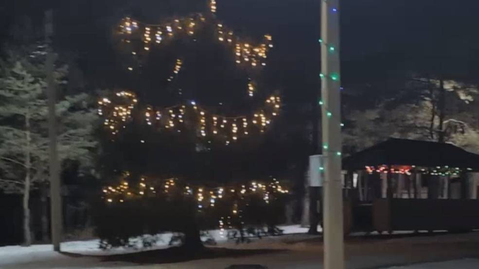 2025.01. "НОВОГОДНИЙ ПАРОВОЗИК". Андрей Чистяков.