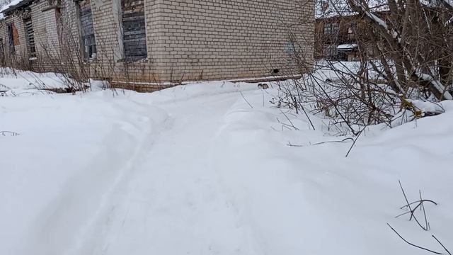 Аркуль,  16 января,  свежий снег