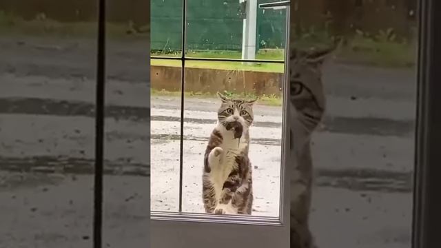 немного юмора🤣🤣🤣