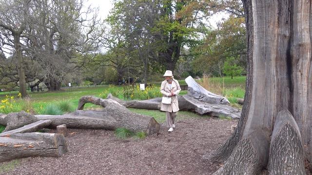 Янтарное колье Смородина.