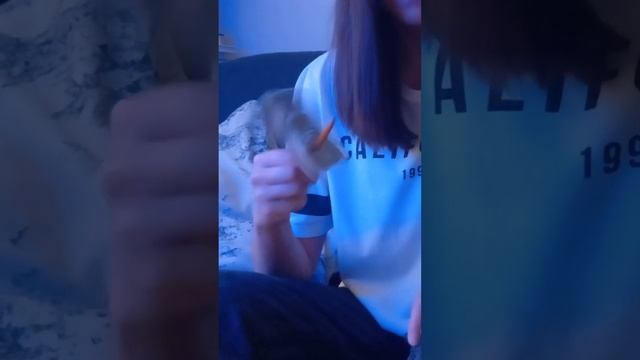 Alenina   Беги от них сниппет #shorts