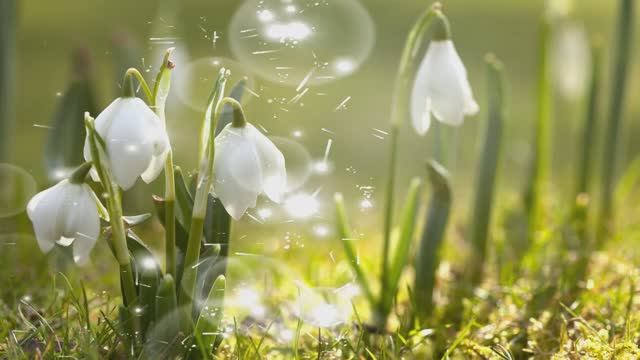 Пробуждение  !!   (Со спецэффектами)