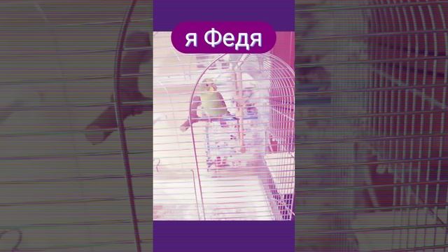 я Федя