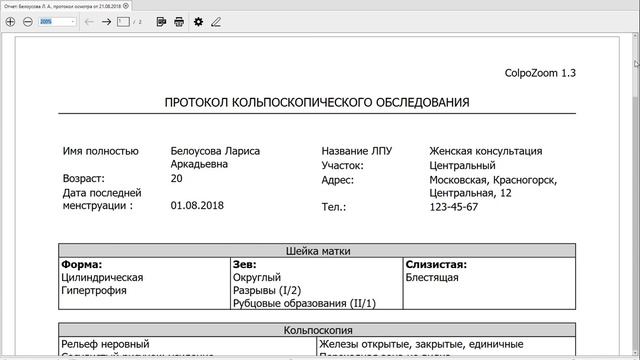 ColpoZoom. Часть 9. Параметры отчета