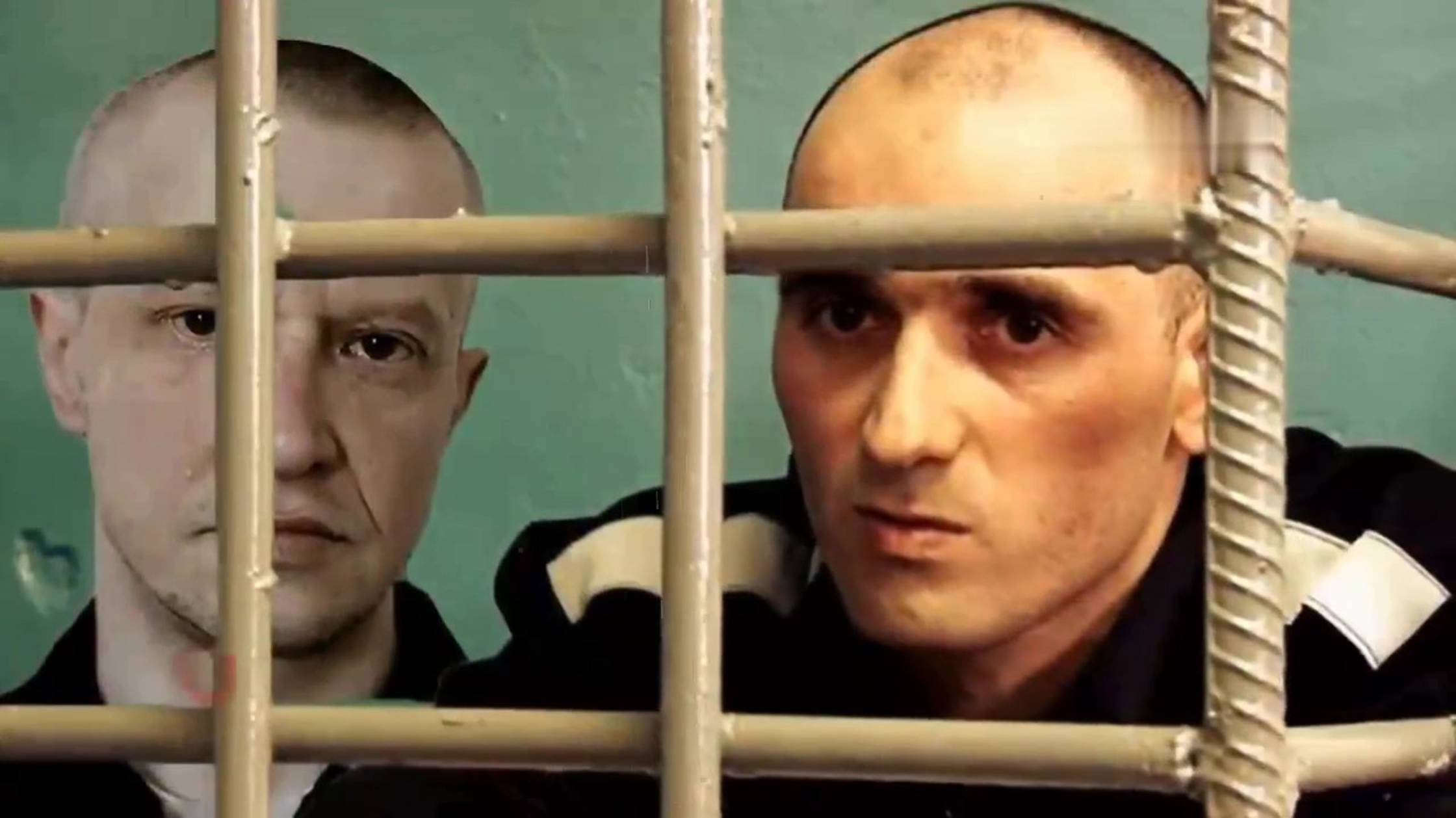 Полярная сова