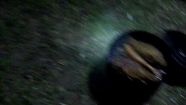 Рыбалка за Бугром